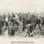 hs285-Hokkai J High School 北海中学校新築敷地の開墾 | 絵葉書資料館